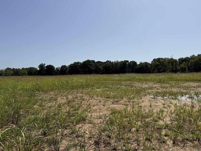 River Drift Lot 20, Heber Springs, AR 72543