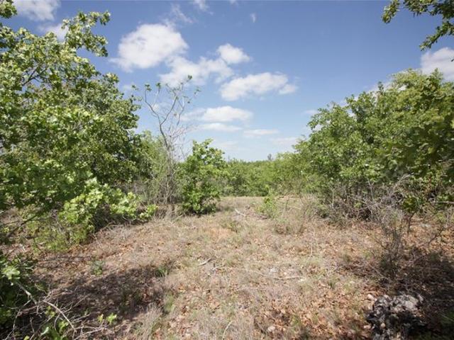 River Forest Dr, Bastrop, TX 78602