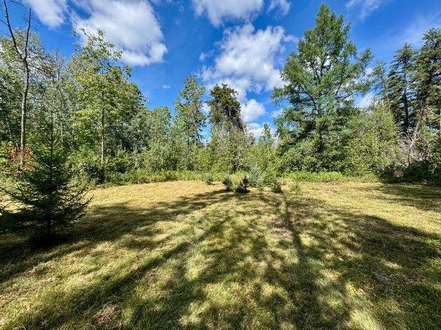 River Forest Rd, Roseau, MN 56751