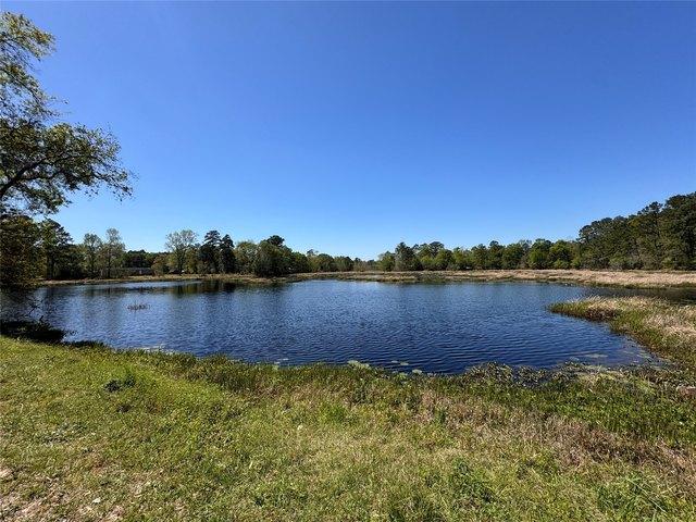 River Jordan Dr, Shepherd, TX 77371