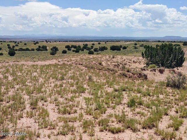 River Meadows Rnch Lot 214, Concho, AZ 85924