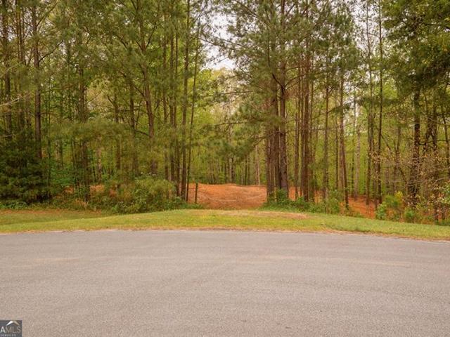 River Overlook, Forsyth, GA 31029