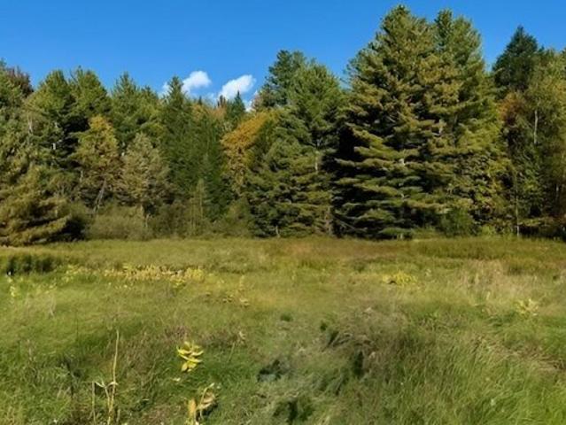 River Rd, Troy, Plot For Sale