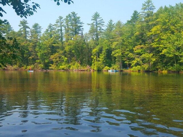 River Rd, Windham, Plot For Sale