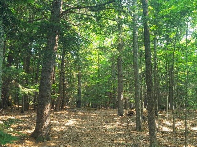 River Rd, Windham, Plot For Sale