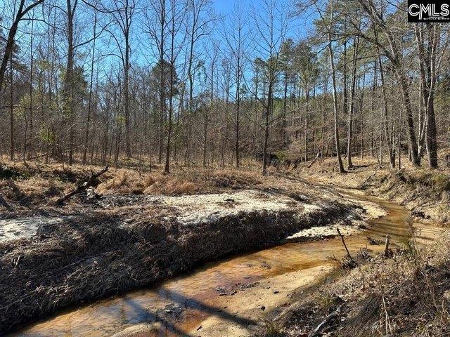 River Rd, Winnsboro, SC 29180