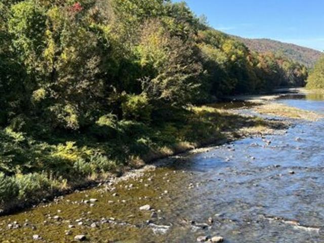 River Rd, Jamaica, Plot For Sale