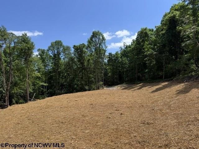 River Rd, Junior, WV 26275