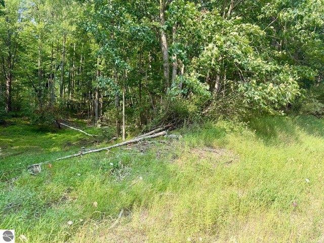 River Rd, Lake Isabella, MI 48893