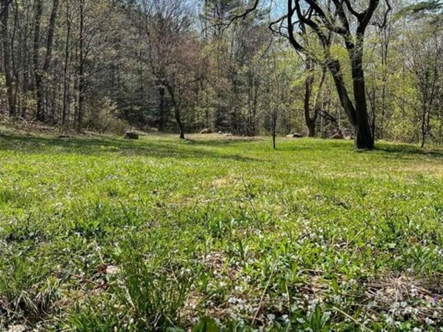 River Rd, Monterey, Plot For Sale