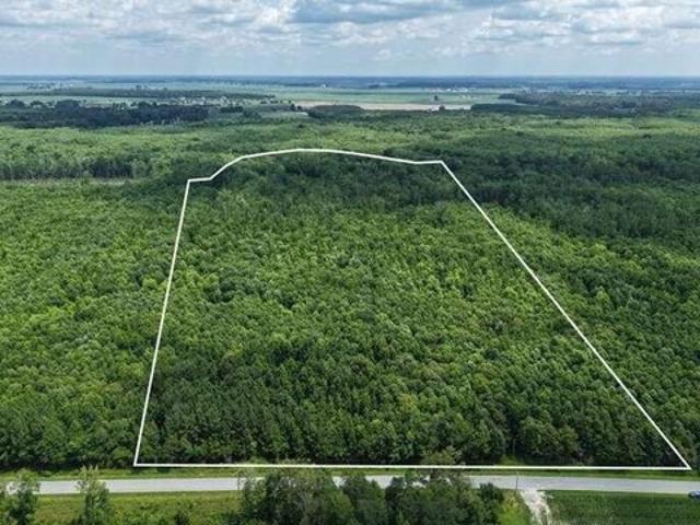 River Rd N, Camden, Plot For Sale