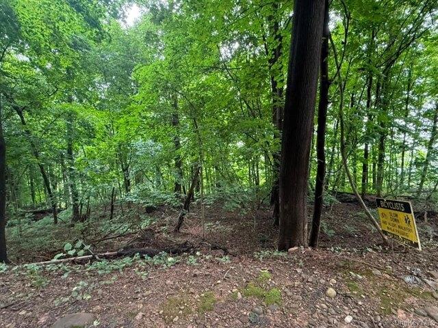 River Rd, Nyack, Plot For Sale