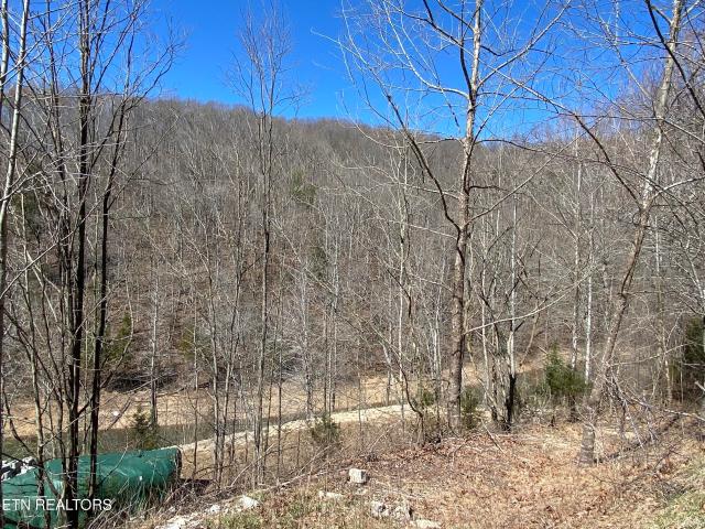 River Ridge Road Tract 1, Maynardville, TN 37807