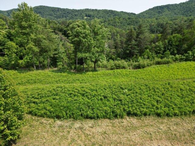 River Rock Rd Lot, Vinton, Plot For Sale