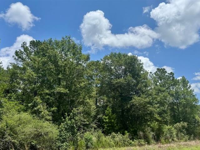 Riverstone Dr, Livingston, TX 77351