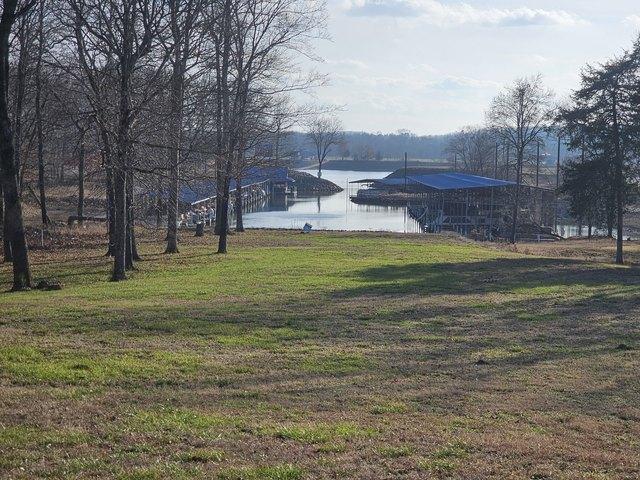 Riverstone Loop, Bath Springs, TN 38311
