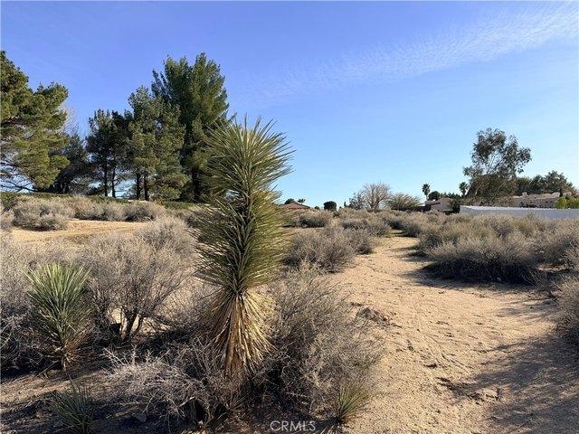 Riverside Dell, Apple Valley, CA 92307