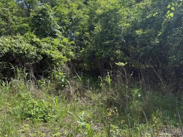 Riverside Dr Lot 959, Bastrop, TX 78602