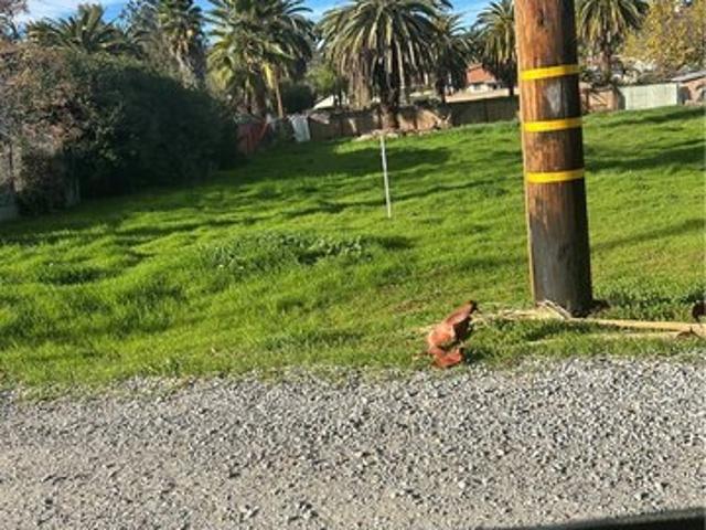 Riverside Dr, Lake Elsinore, CA 92530