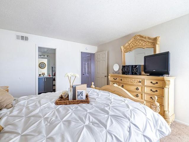 Riverside Palms 1 Bedroom Apartment for Rent at 5008 Sierra Pl, Tampa, FL 33617 Temple Crest