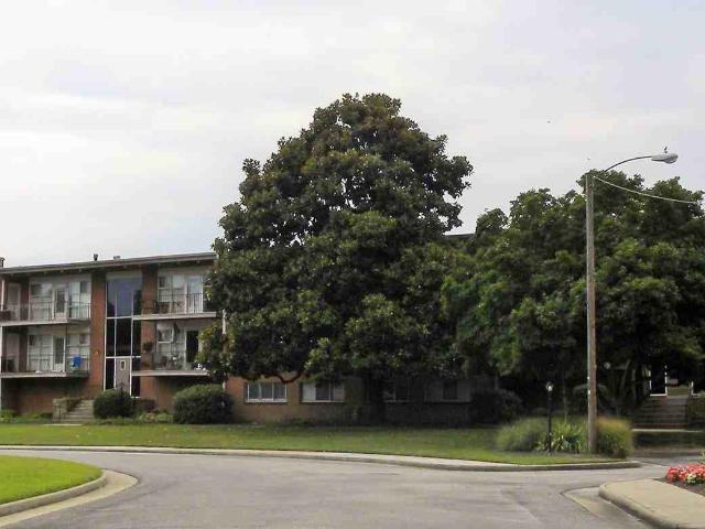Riverside Park 2 Bedroom Apartment for Rent at 310 Woodbine St, Hopewell, VA 23860