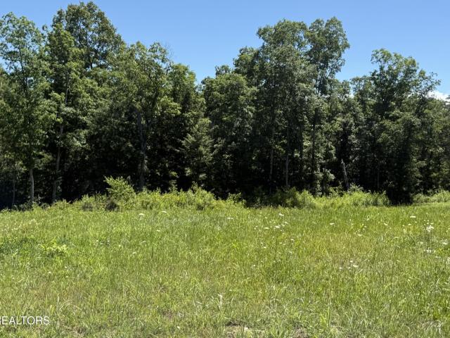 Riverview Drive Lot 1 & 2, Crossville, TN 38555
