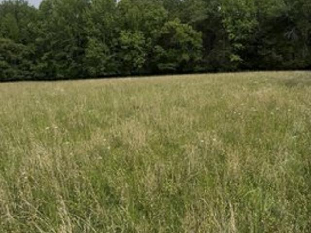 Riverview Rd, Mount Juliet, TN 37122