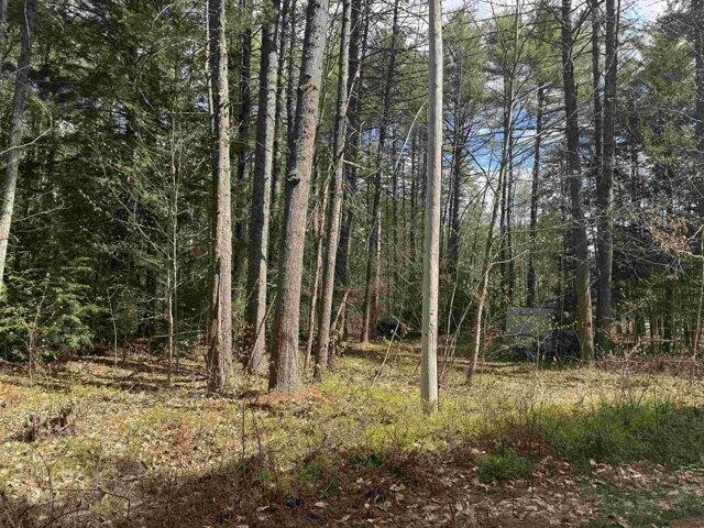 Riverwood Cir Lot,effingham, Plot For Sale
