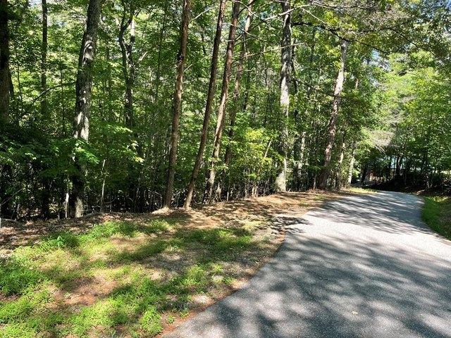 Rizzitello Ln Lot 5, Blairsville, GA 30512