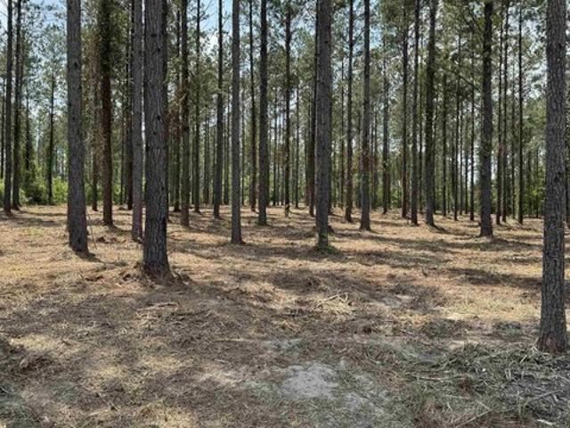 Ronald Sanks Rd, Bay Minette, AL 36507