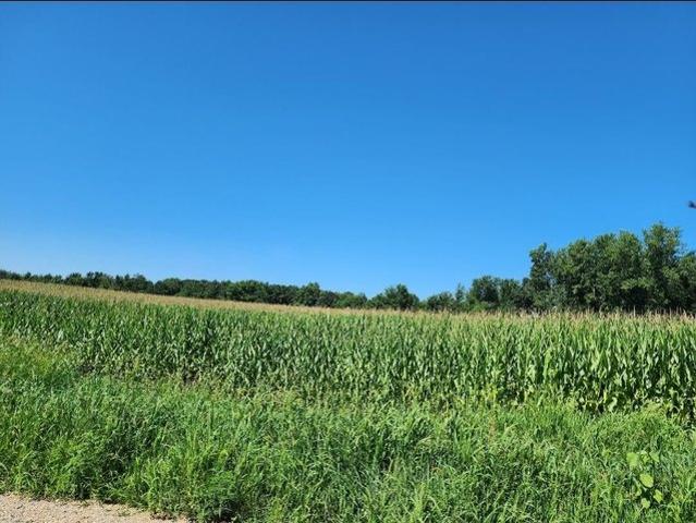 Root V/L Rd, Constantine, MI 49042