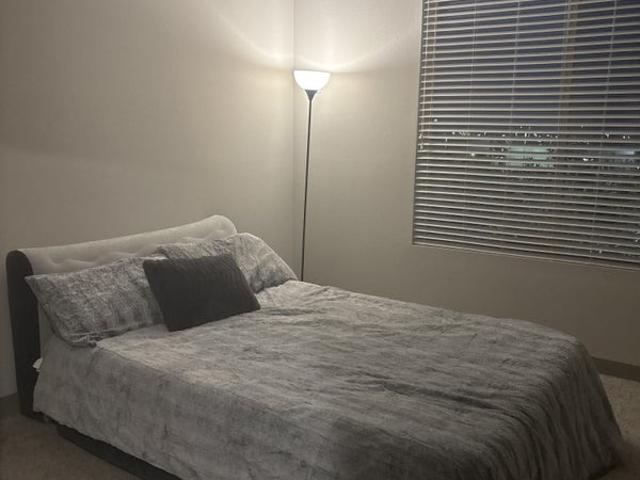 Room mate