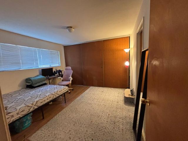 Room near El Cerrito Plaza BART: Spacious, Artsy