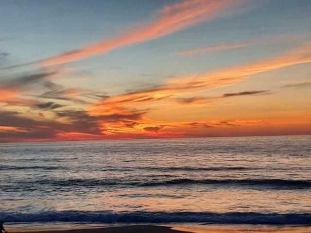 Room Open in Mission Beach 2BD/2BA