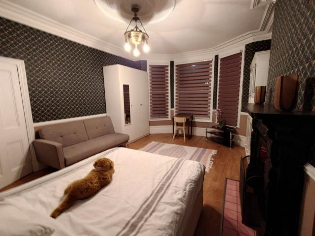 Room at Muswell Avenue, Greater London