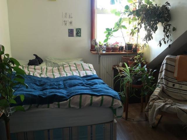 Room at Alkham Road, Greater London