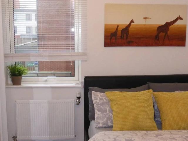 Room at Baythorne Street, Greater London