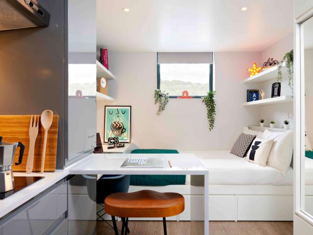 Room at Beaumont Road, Plymouth