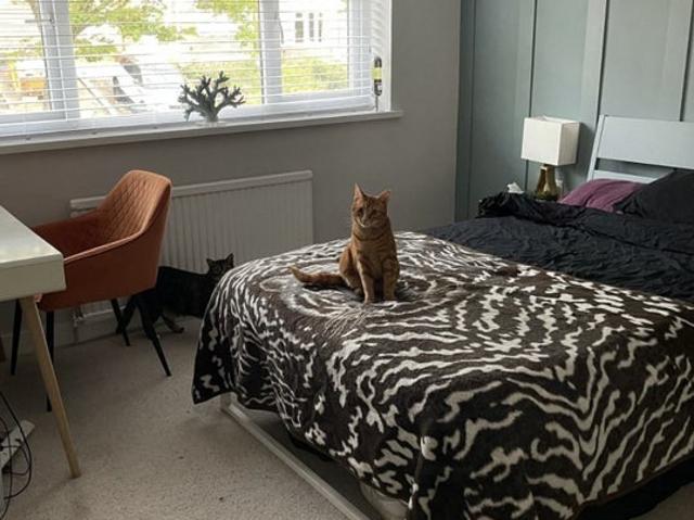 Room at Beverley Gardens, Greater London