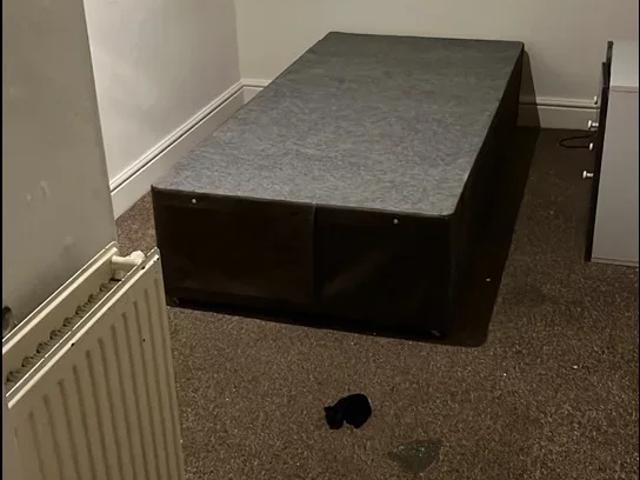 Room at Cumberland Crescent, Chelmsford