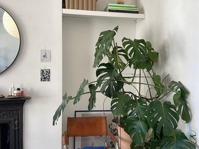 Room at Clapton Passage, Greater London