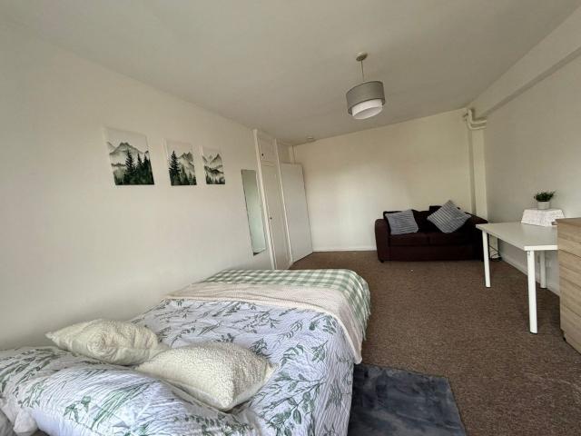 Room at Commercial Road, Greater London