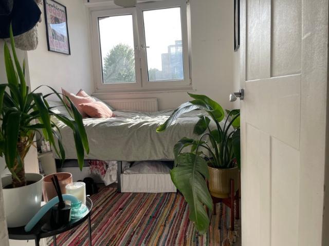 Room at Consort Road, Greater London