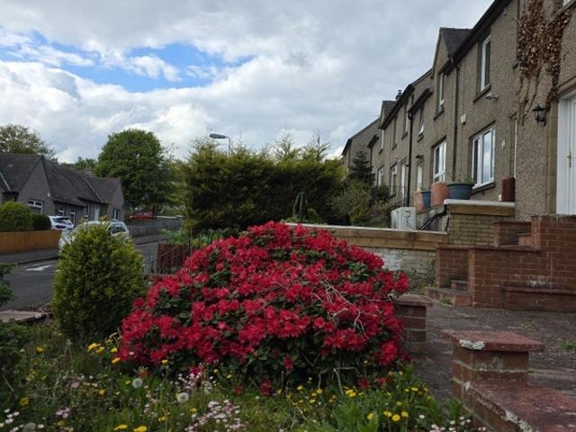 Room at Cowan Street, Bathgate