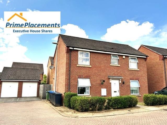 Room at Croft Avenue, Rugby