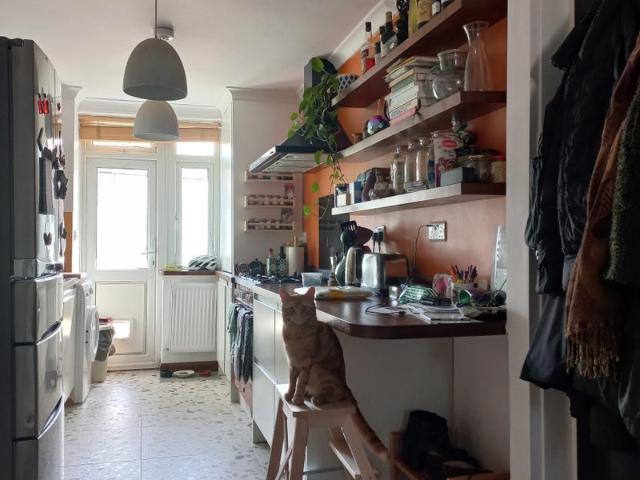 Room at Denmark Hill, Greater London
