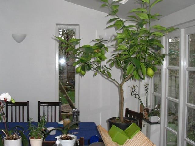 Room at Dorset Road, Greater London