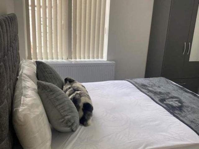 Room at East Road, Manchester