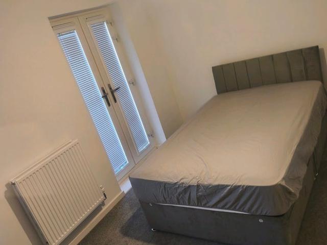 Room at Gainsborough Avenue, Catbrain