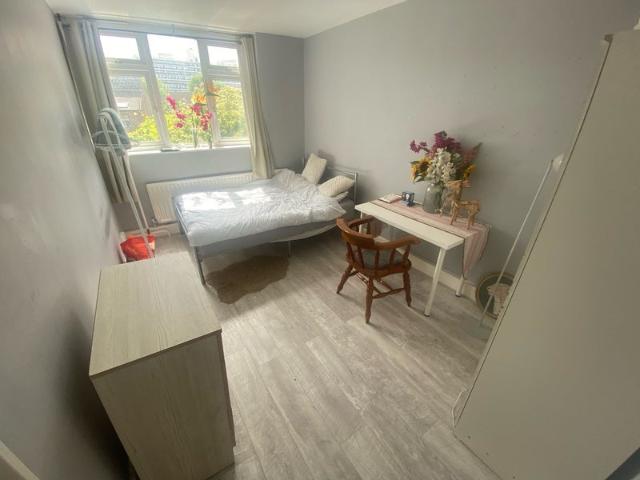 Room at Hassett Road, Greater London